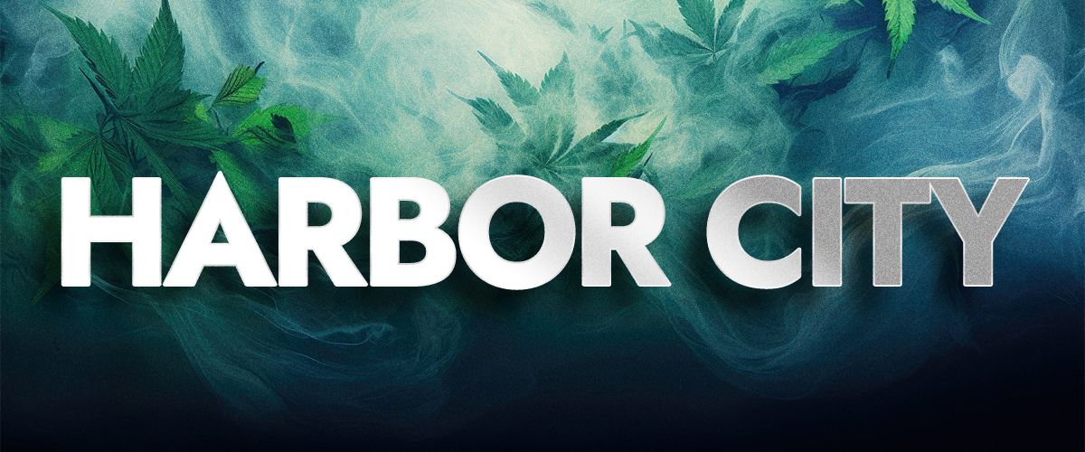 Wax Vs Shatter Vs Crumble - Which Is Best?