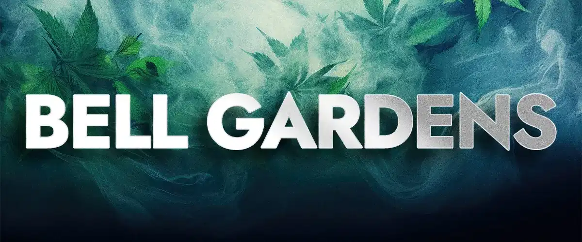 Wax Vs Shatter Vs Crumble - Which Is Best?