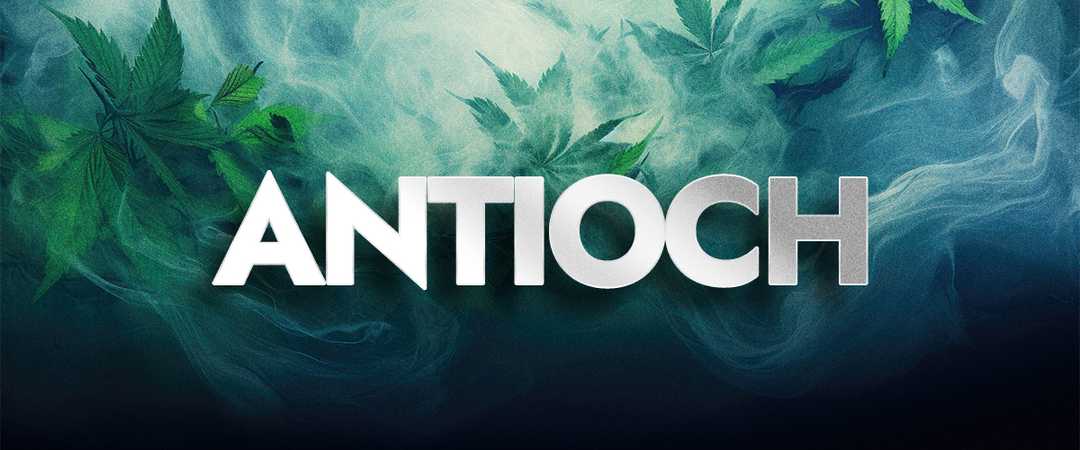 Wax Vs Shatter Vs Crumble - Which Is Best?