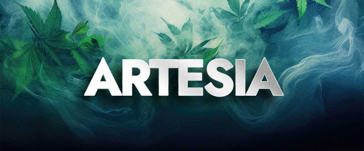 Wax Vs Shatter Vs Crumble - Which Is Best?