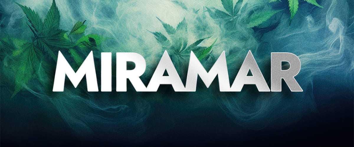 Wax Vs Shatter Vs Crumble - Which Is Best?