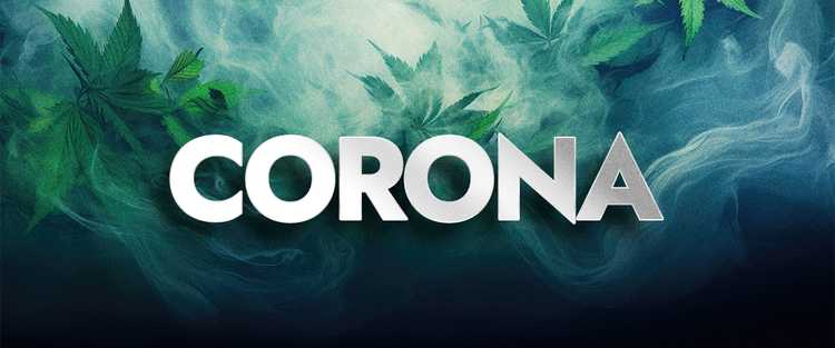 Wax Vs Shatter Vs Crumble - Which Is Best?